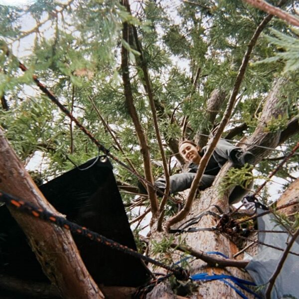 Freshwater Tree-Sitters: Names of Trees – Humboldt Area Peoples Archive